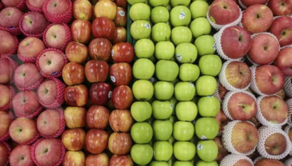 Moment - PT. WIRA KIMFOOD INDONESIA